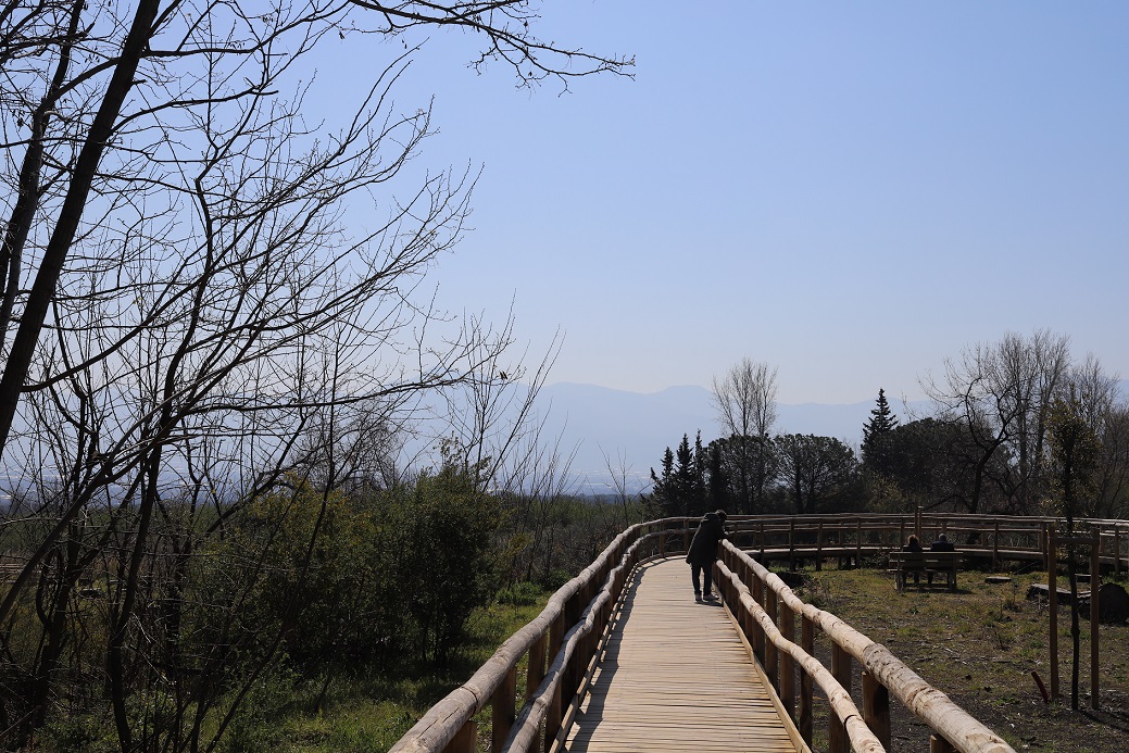 PARCO NAZIONALE DEL VESUVIO: INAUGURATO IL SENTIERO N° 11 “La pineta di ...
