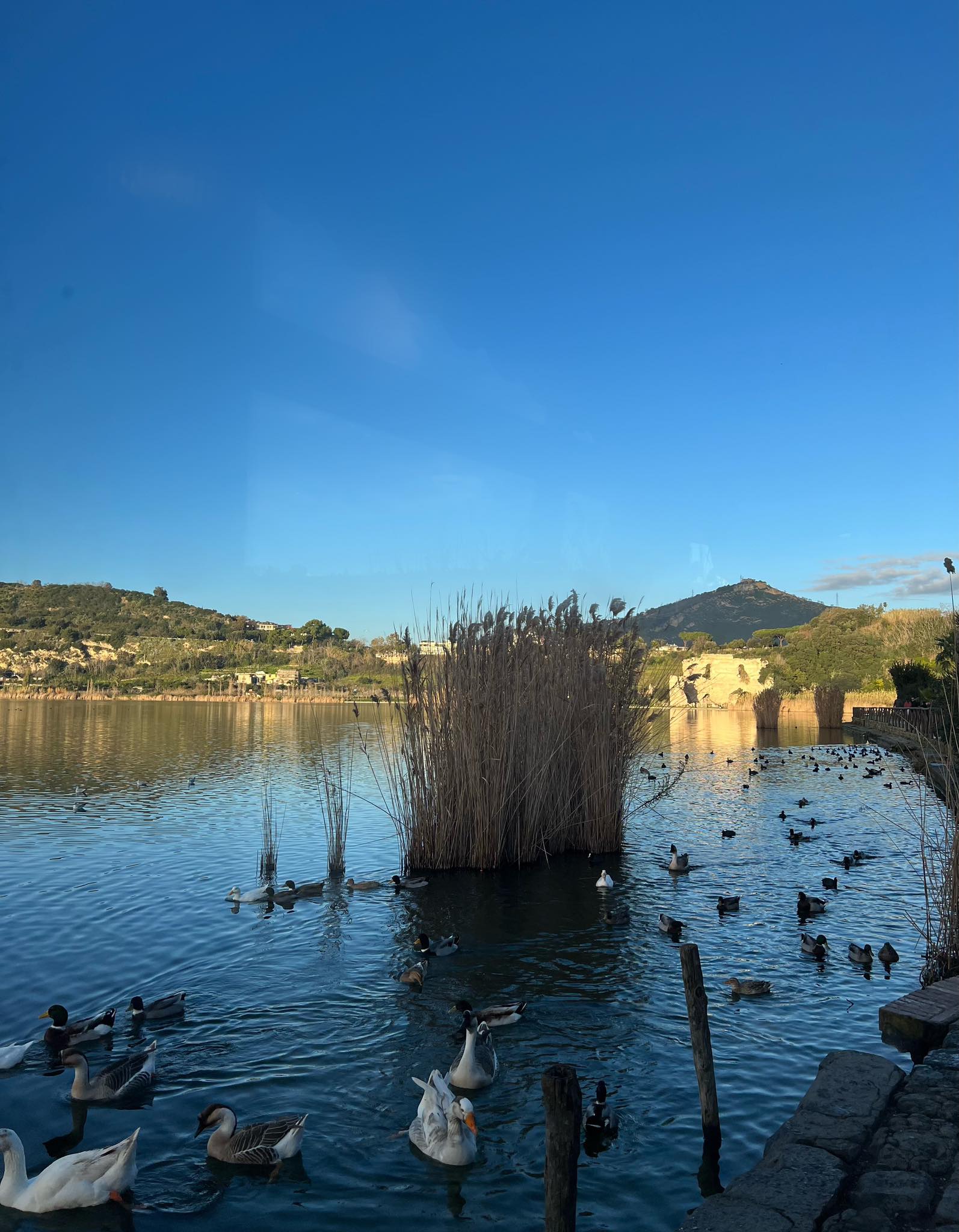 I luoghi del cuore. Lago D'Averno, storia, mito e incanto - TerranostraNews